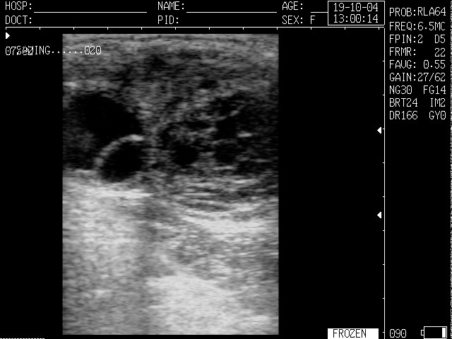 Carewell C3 VET купить по цене 125 100 руб. в городе Москва